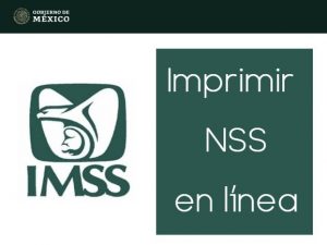 Imprimir NSS | 【Guía 2025】| supercomo.net